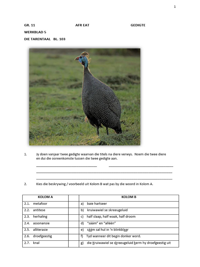 GR 11 AFR EAT GEDIGTE WERKBLAD 5 Die Tarentaal VRAE EN MEMO PDF | PDF