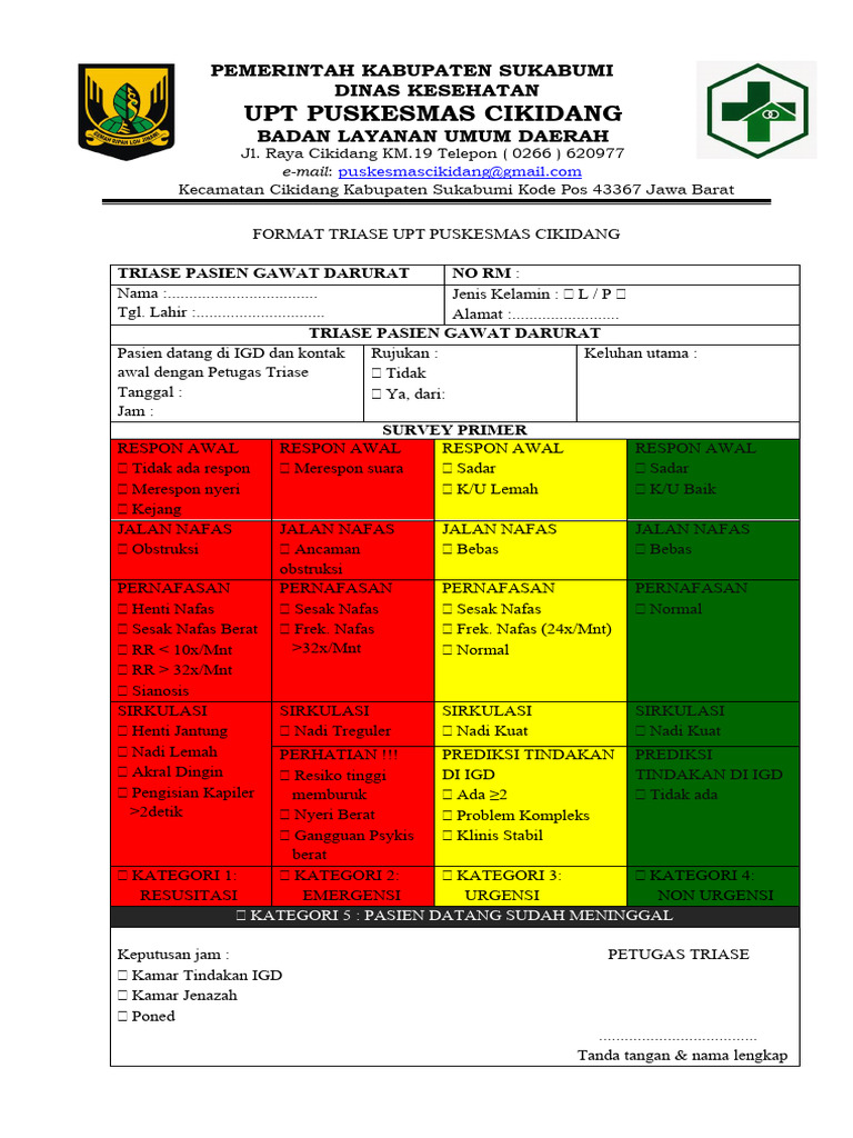 Format Triase (Autorecovered) | PDF