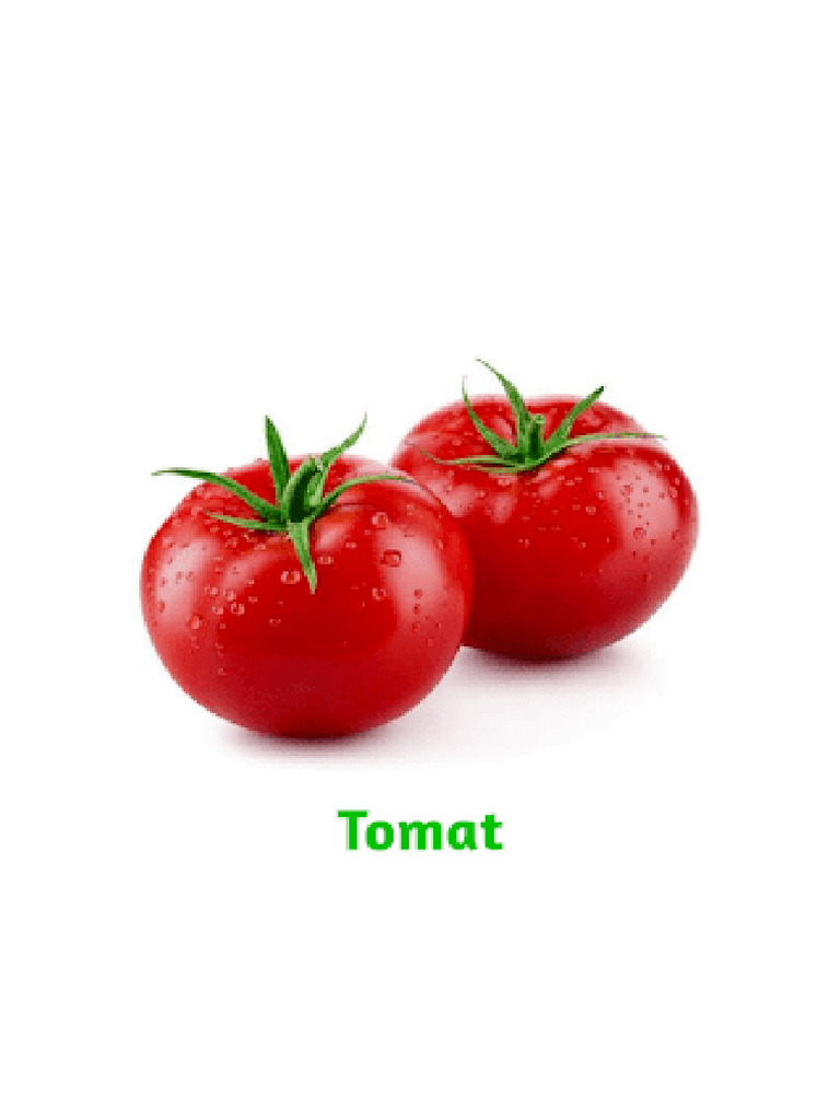 Tomat | PDF