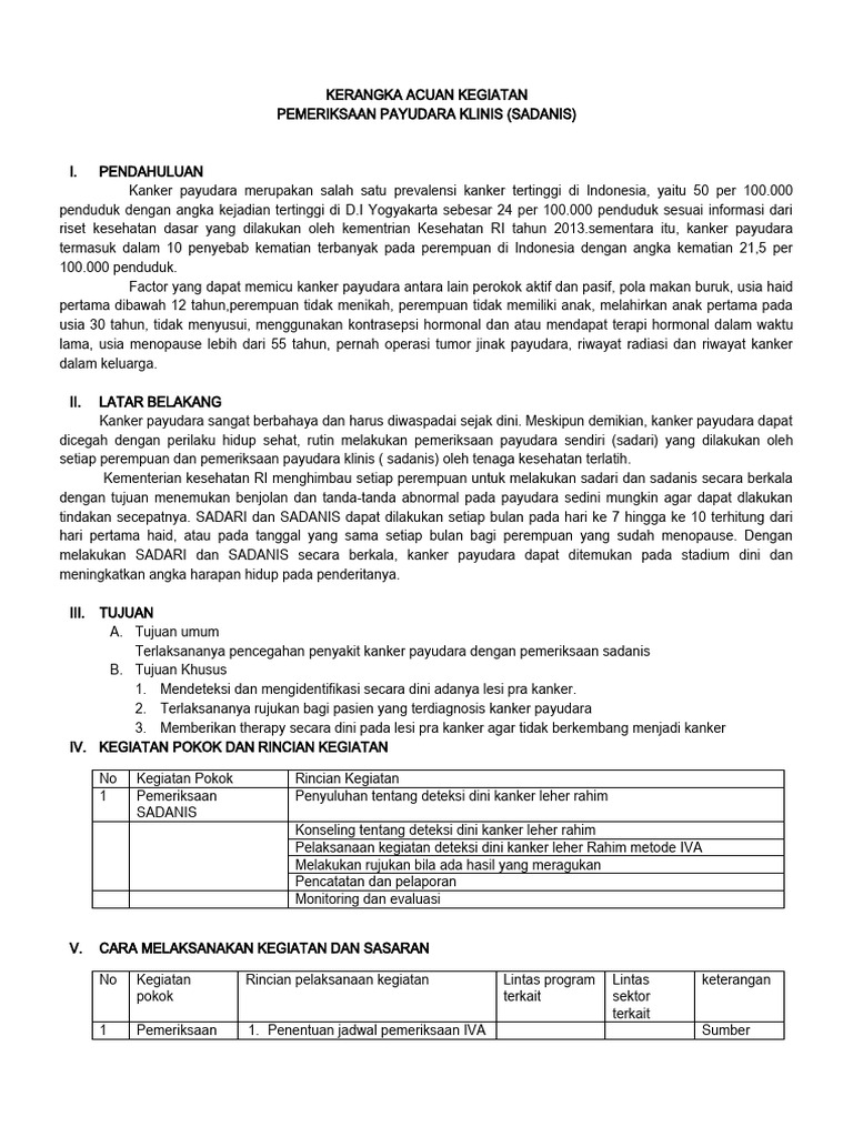 Kak Pemeriksaan Sadanis | PDF