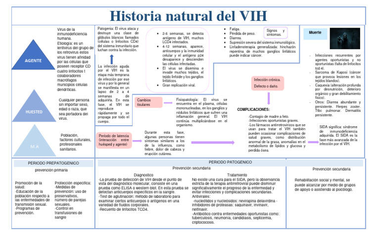 HISTORIA NATURAL DEL VIH | PDF | VIH | Sistema inmune