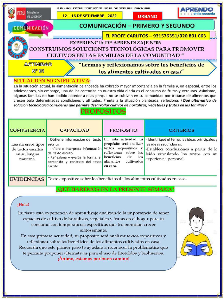 Experiencia de Aprendizaje #06 - Actividad #01 - 1ero y 2do - Comunicacion - 00001 | PDF