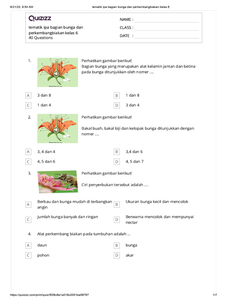 Latihan Soal Bagian Bunga Dan Perkembangbiakan Kelas 6 | PDF