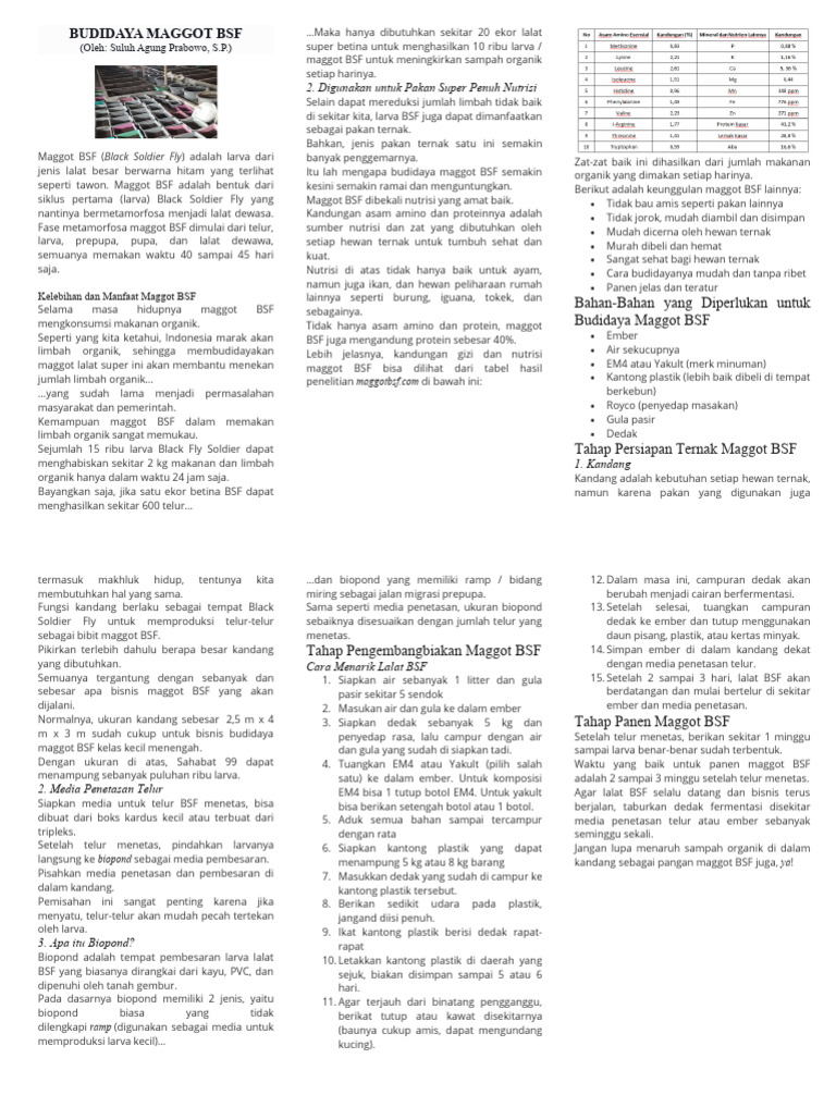 Budidaya Maggot BSF | PDF