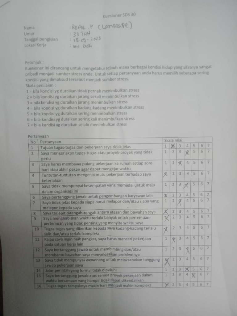 KUISIONER SDS 30 RENOLD (lANSCAPE) | PDF