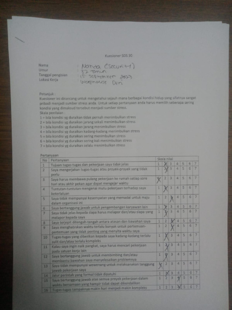 Kuisioner SDS 30 Nanda (Security) | PDF