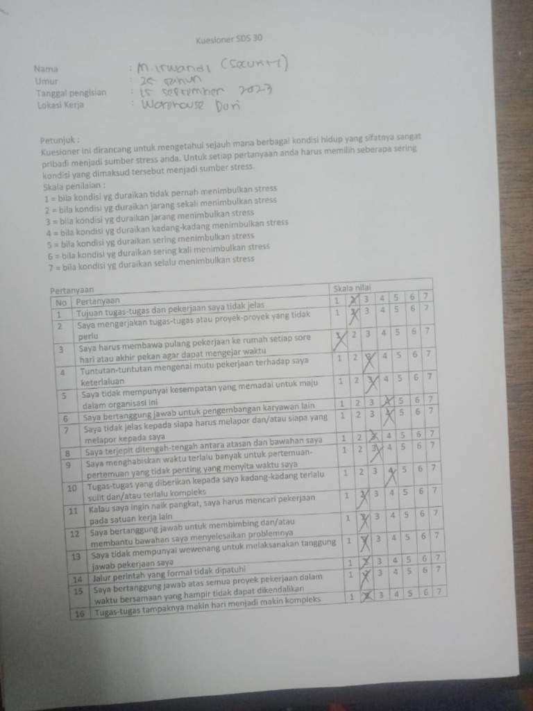 Kuisioner SDS 30 M Irwandi (Security) | PDF