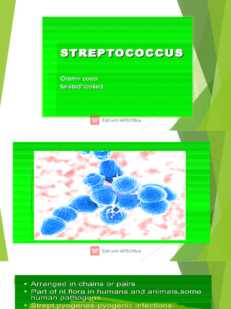 Streptococcus | PDF