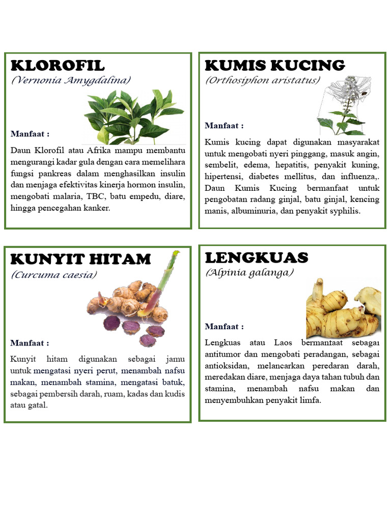 LABEL TOGA SKP | PDF