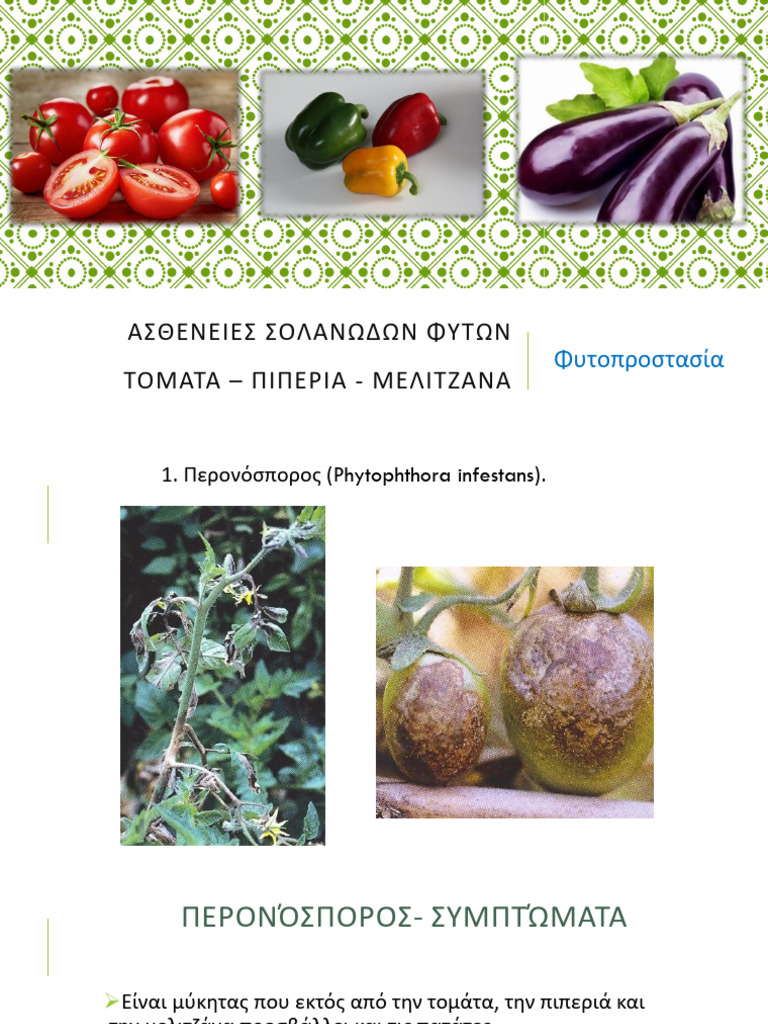 1 ΑΣΘΕΝΕΙΕΣ ΣΟΛΑΝΩΔΩΝ ΦΥΤΩΝ | PDF