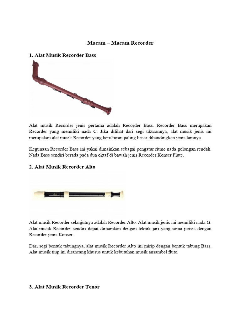 Tugas Alat Musik | PDF | Seni