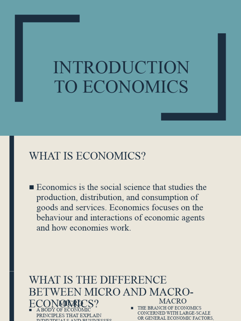 Introduction to Economics Concepts | PDF