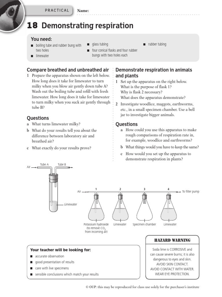 IGCSE BIO - TB Practical Activities18 | PDF