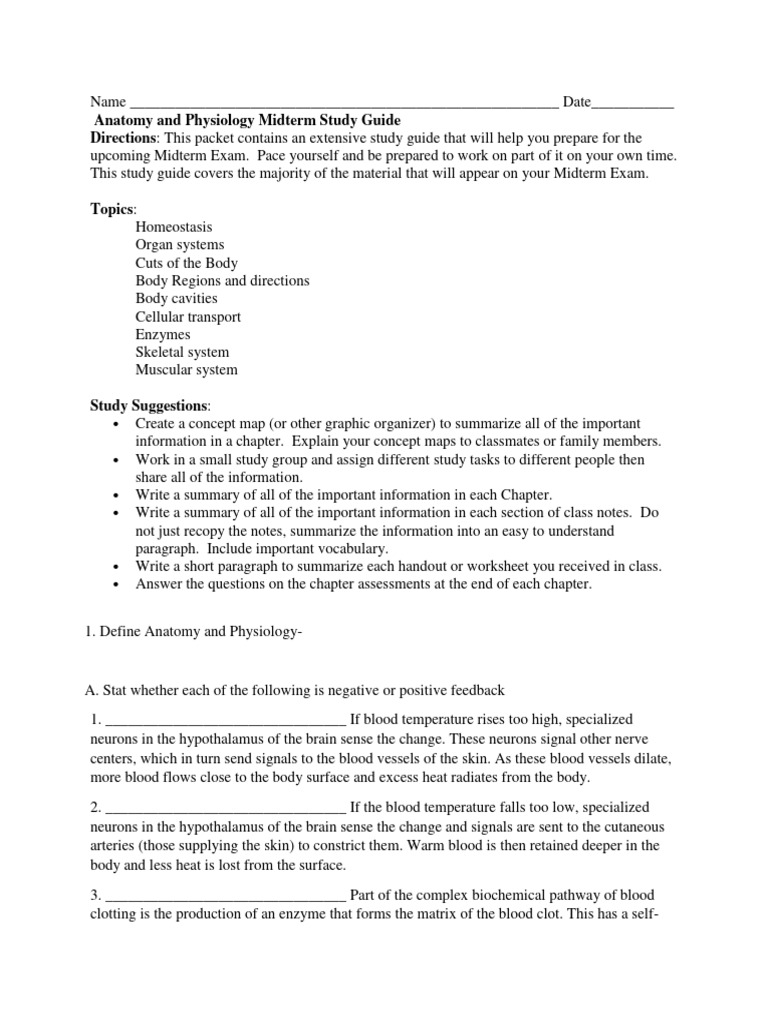 Anatomy Midterm Study Guide | PDF | Human Body | Abdomen
