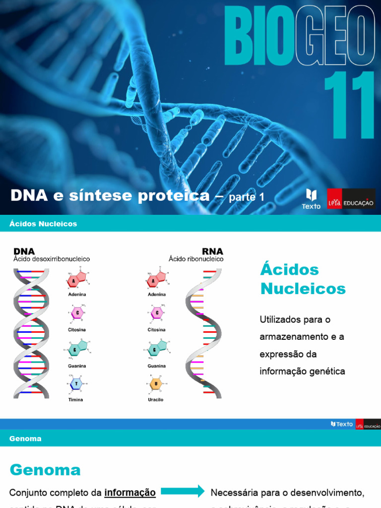 DNA e Síntese Proteica I | PDF
