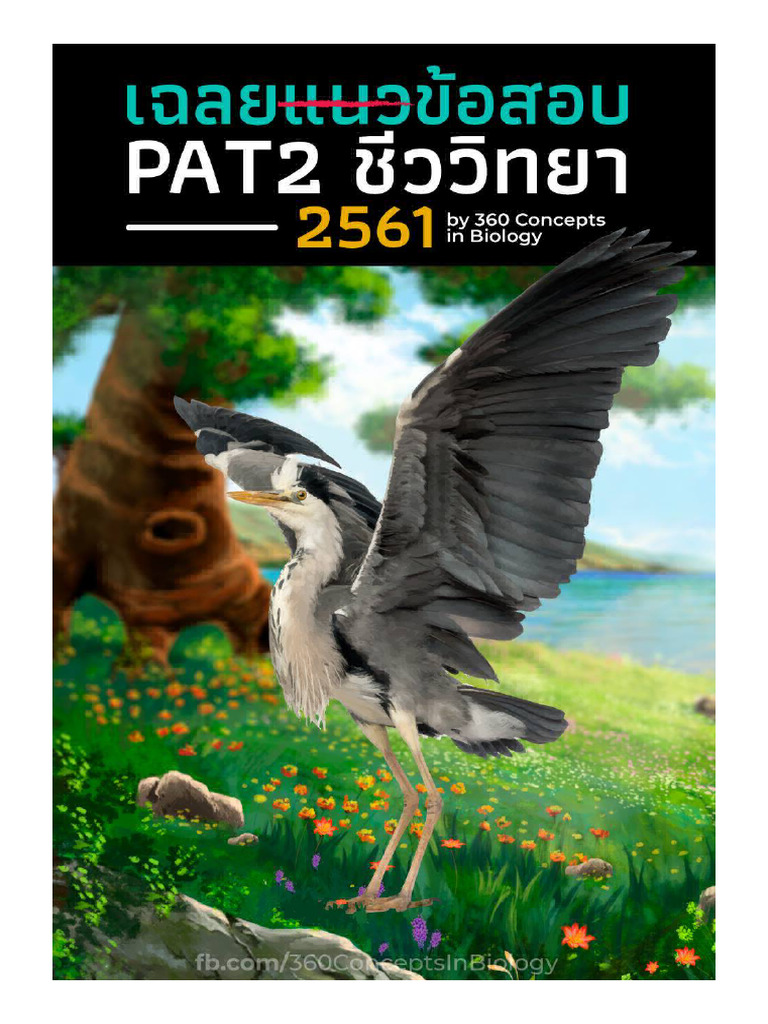 Pat2 2561 | PDF
