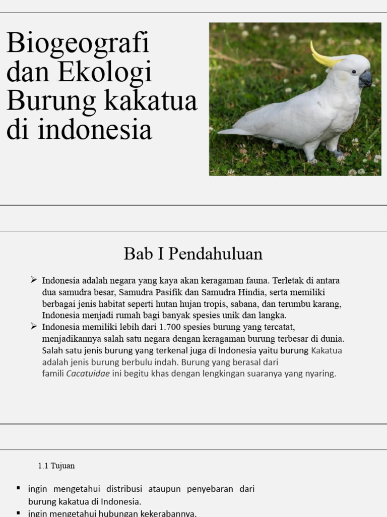 Biogeografi Kakatua Indonesia | PDF