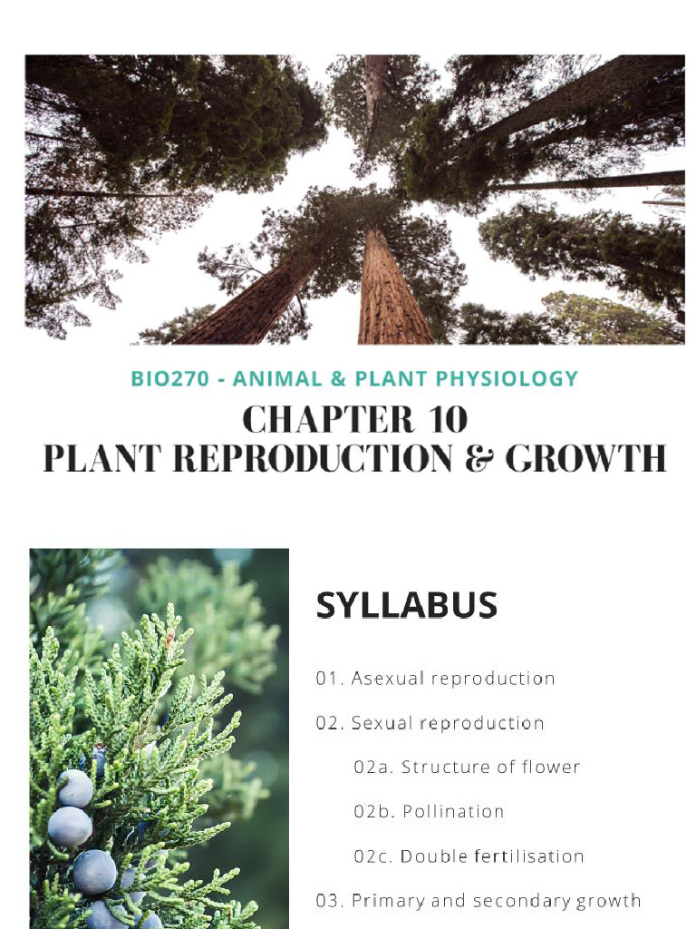 Chapter 10 Plants Reproduction and Growth | PDF