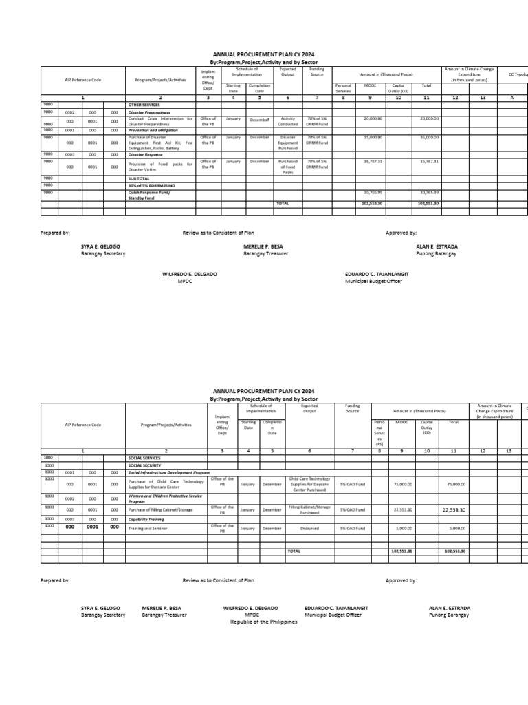 Annual Procurement Plan 2024 Summary | PDF