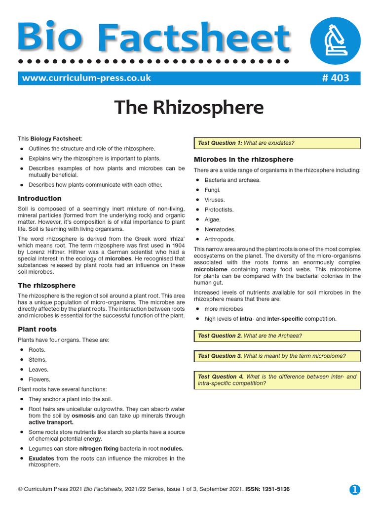 403 The Rhizosphere | PDF