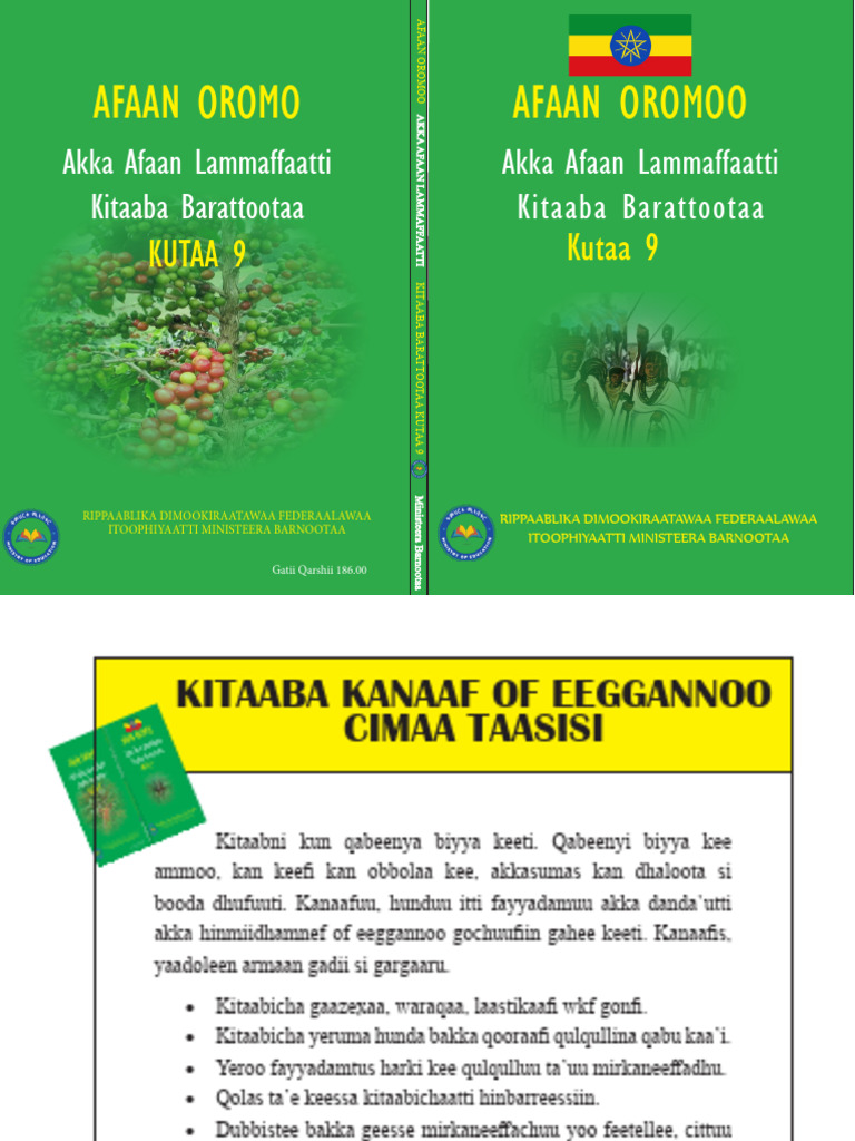 AFAAN OROMOO - Akka Afaan Lammaffaatti Kitaaba Barattootaa - Kutaa 9 | PDF