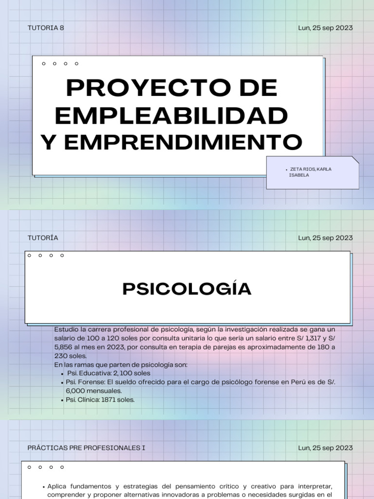 Proyecto de Empleabilidad | PDF