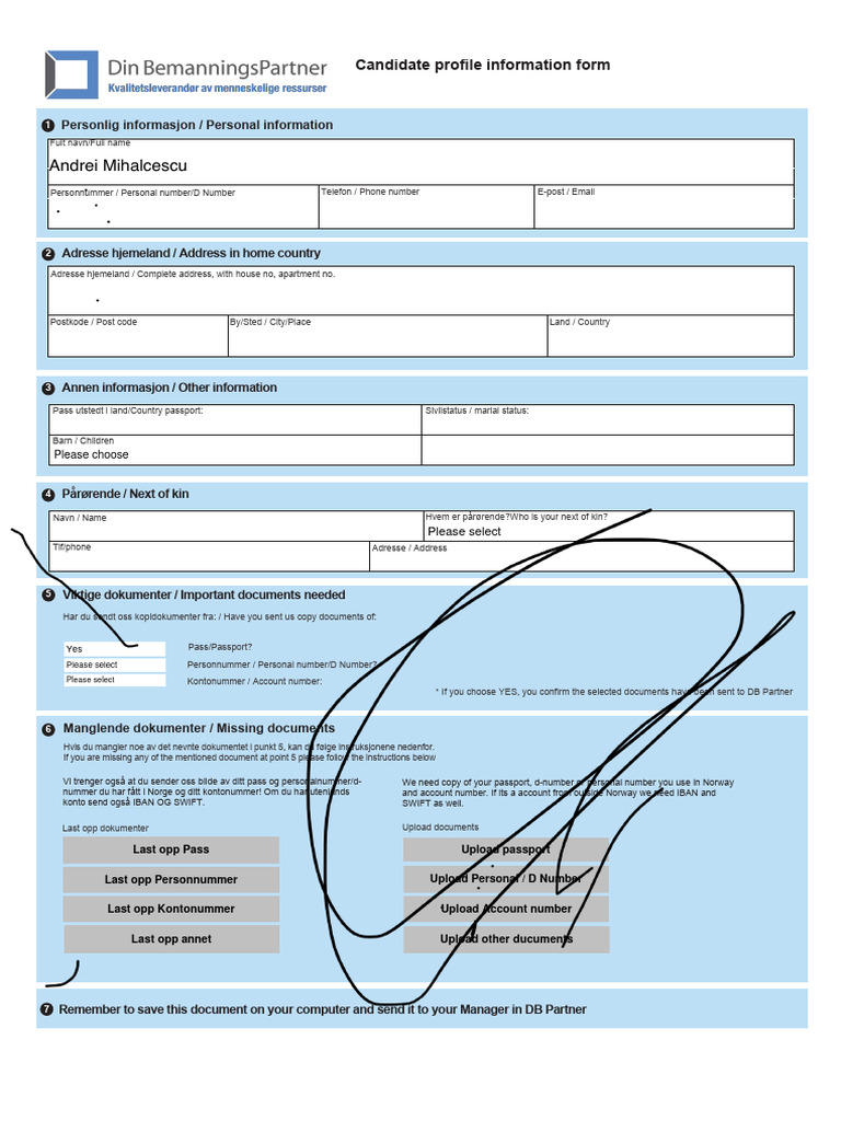 DBP Candidat Profile Information | PDF