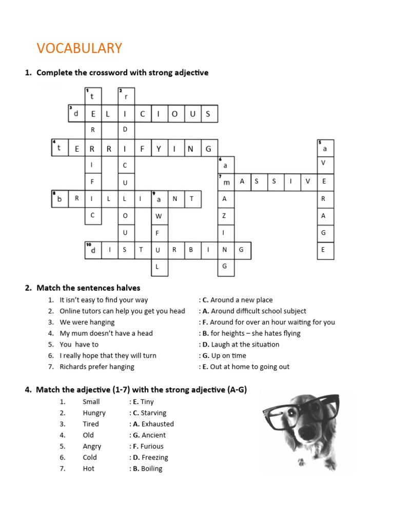 Vocabulary and Adjective Exercises | PDF | Stand Up Comedy