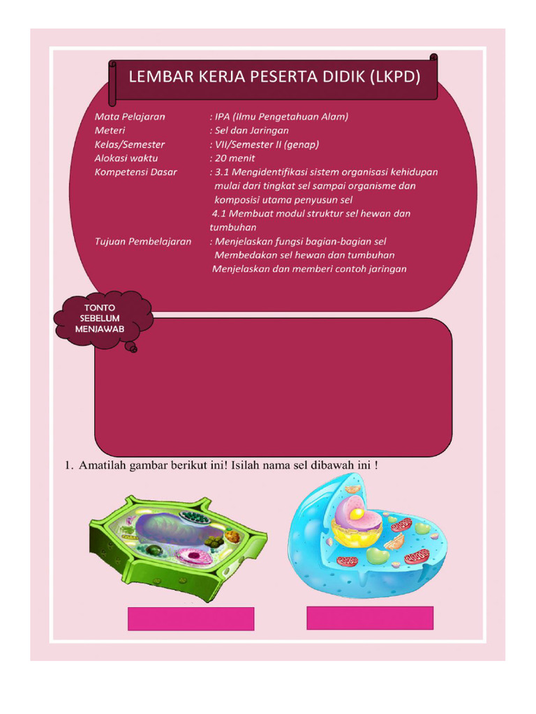 LKPD Sel Dan Jaringan | PDF
