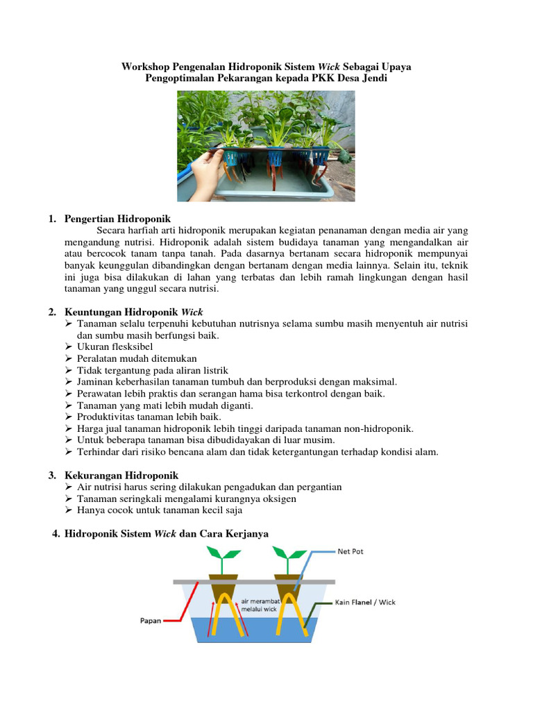 Materi Hidroponik | PDF