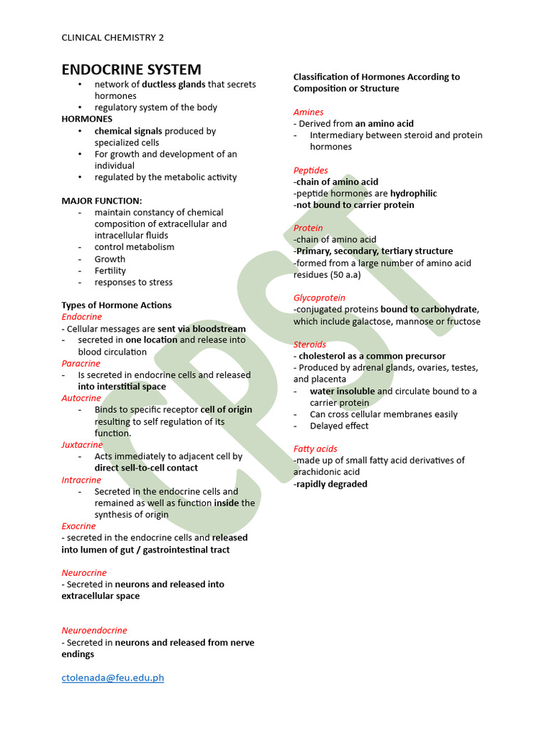 Endocrine System | PDF | Growth Hormone | Endocrine System