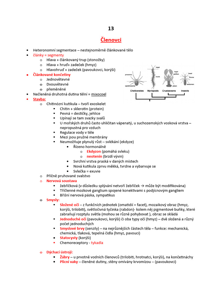 Bio 13 - Členovci | PDF