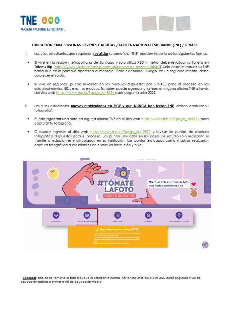 Protocolo Tne - Educación Adultos 2023 | PDF