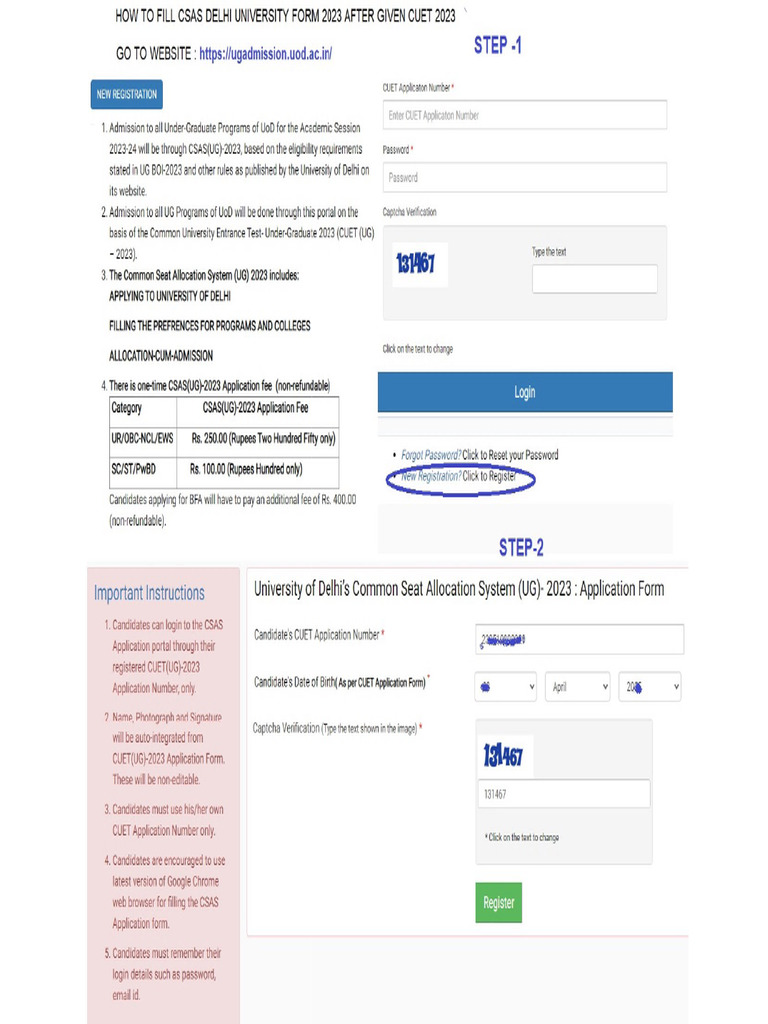 Step Wise Form Csas | PDF