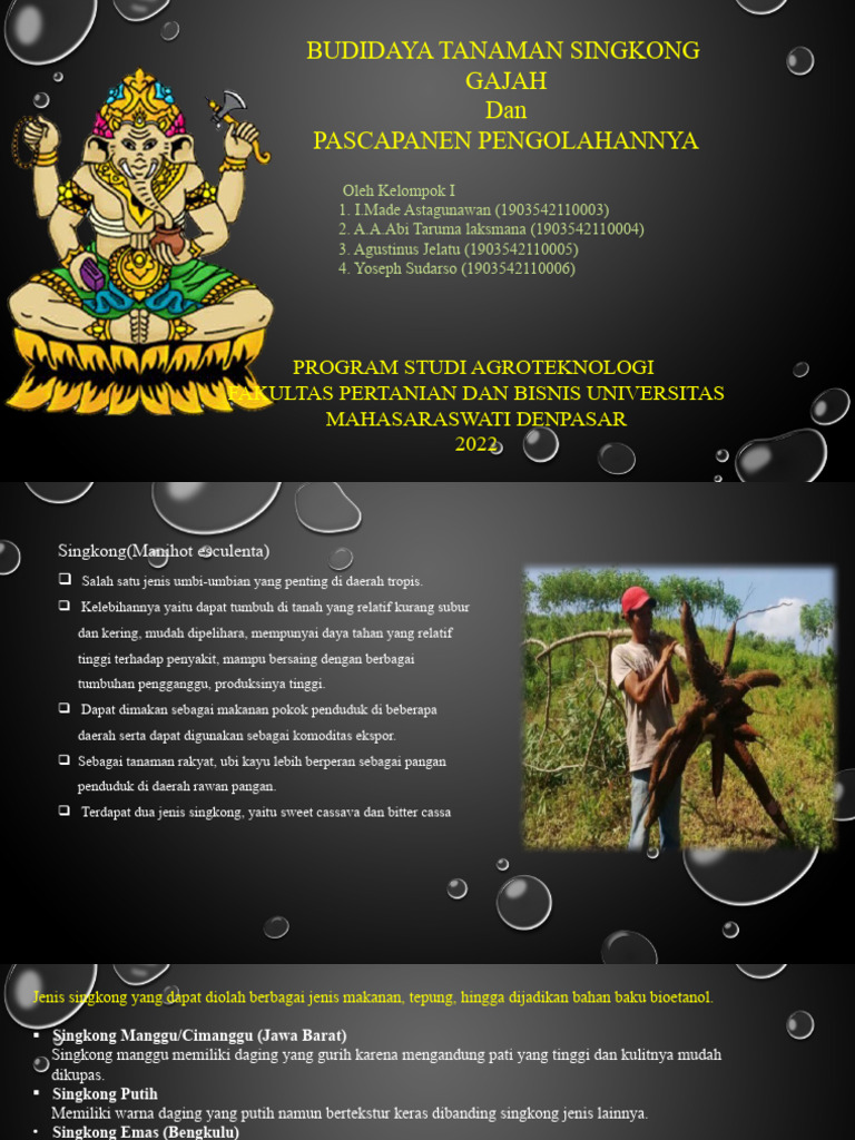 PPT, Teknologi Pasca Panen | PDF