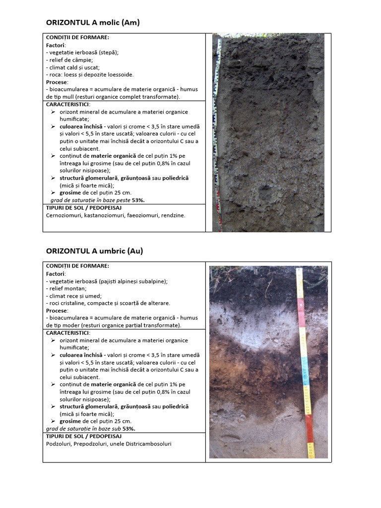 fise_orizonturi 2 | PDF