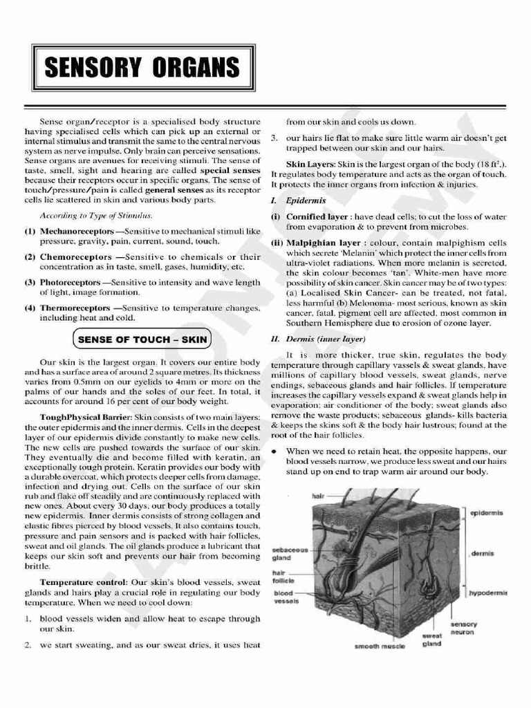 Sensory-Organs | PDF