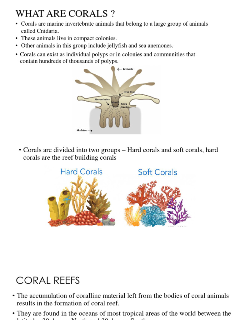 Understanding Coral Reefs and Their Types | PDF