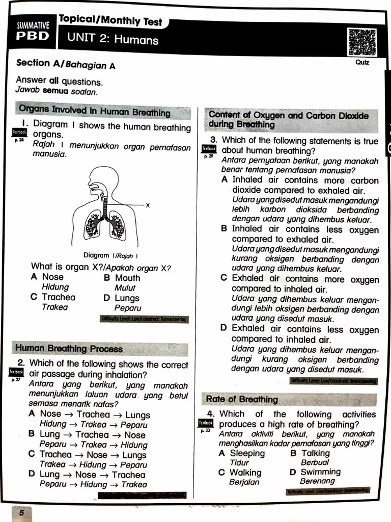 Pentaksiran Sumatif 1 SN Y4 | PDF