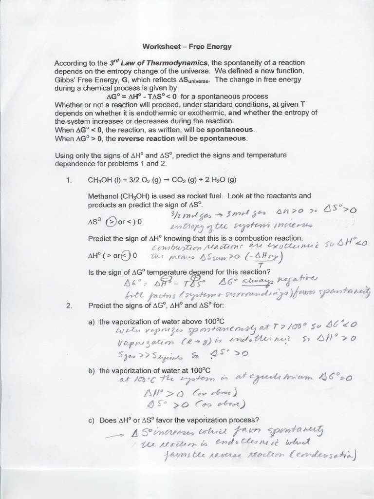 Worksheet-Free Energy Answers | PDF