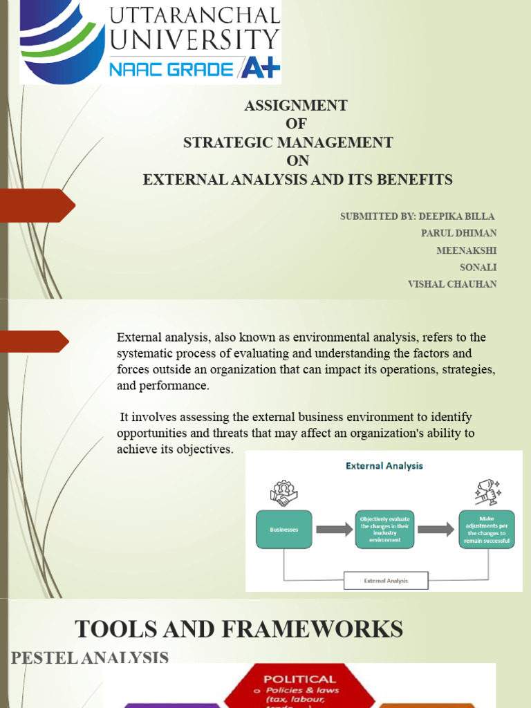 External Analysis Pdf Business Process Private Sector