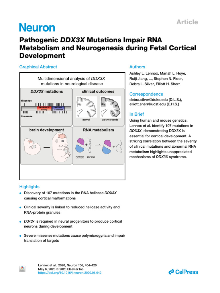 DDX3X Mutations and Cortical Development | PDF | Self-Improvement ...
