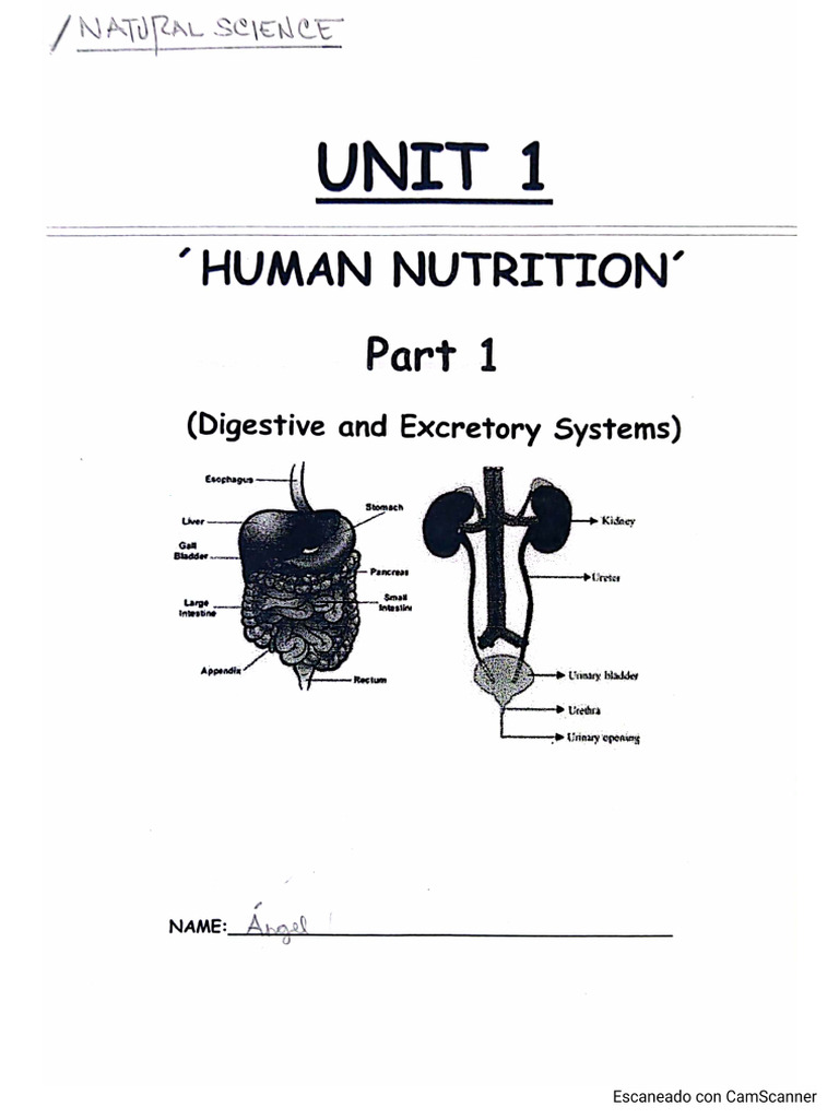 Unit 1 Part 1 Natural 5° | PDF