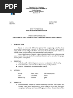 Seed Germination Report Sample (Easy) | PDF | Seedling | Seed