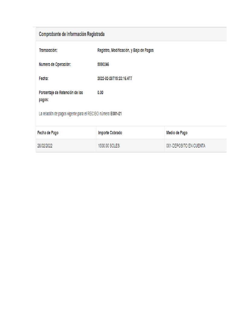 Registro de Pagos de Rhe E001 - 21 | PDF