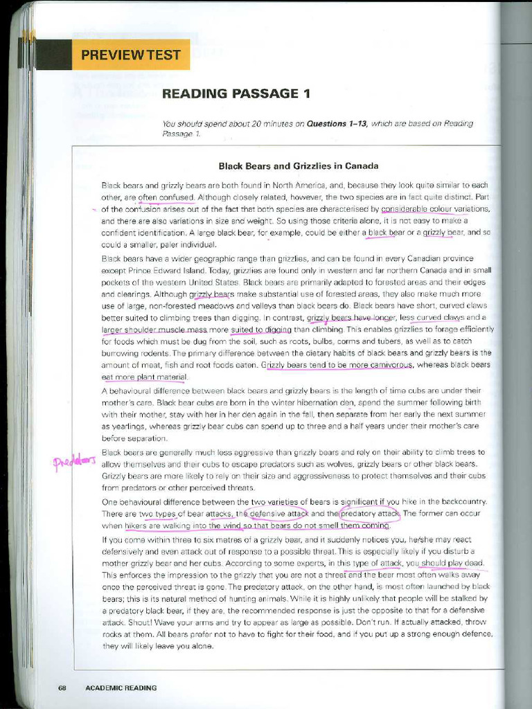 Reading IELTS | PDF