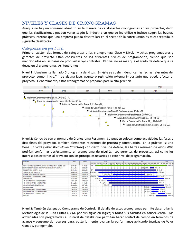Niveles y Clases de Cronogramas | PDF