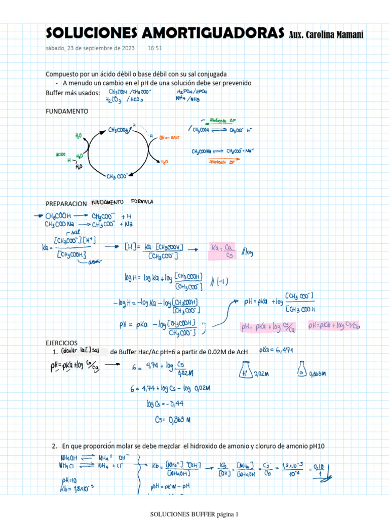 Soluciones Amortiguadoras Aux. Carolina Mamani | PDF