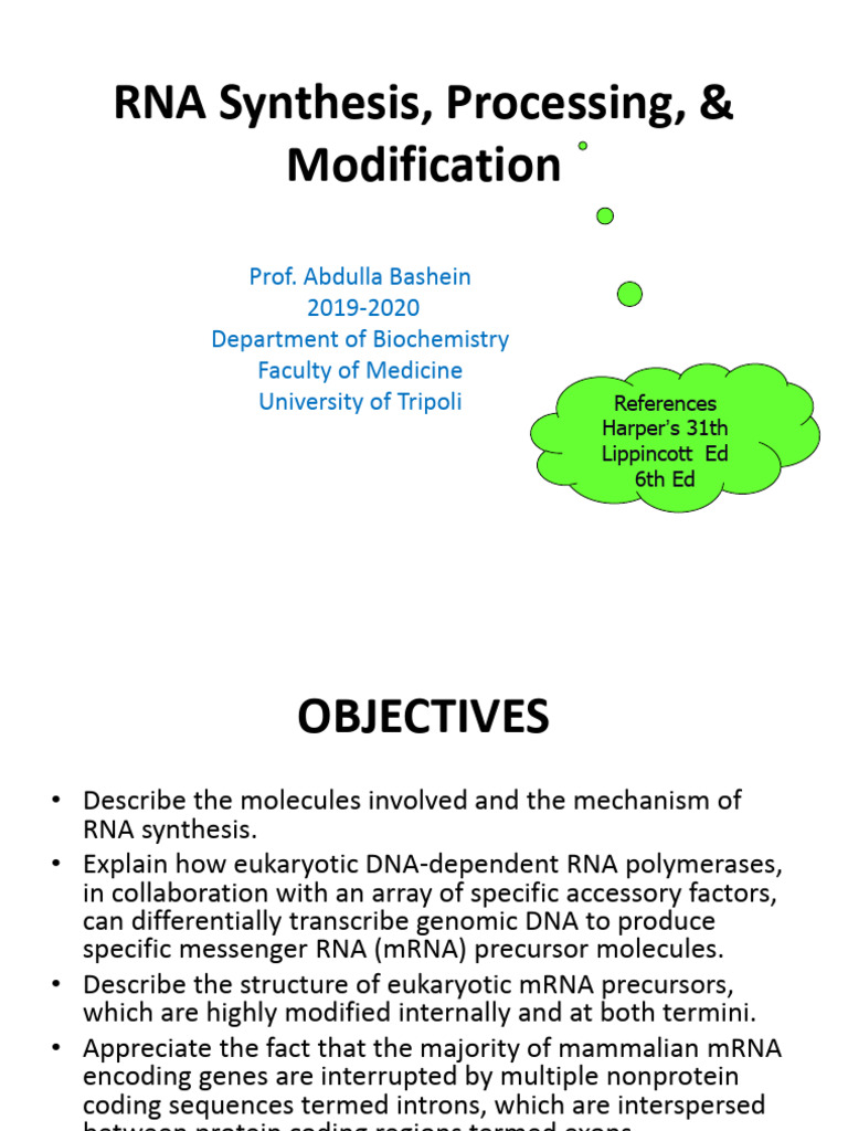 RNA Synthesis, Processing & Modification | PDF | Messenger Rna | Rna Splicing