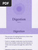 The Journey of A Cheese Sandwich! | PDF | Digestion | Digestive System